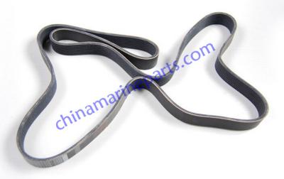 China Cummins v belt 3911584  Diesel engine NT855 K19 M11 parts belt for sale
