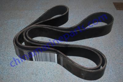 China Cummins engine parts 12PK2350 belt Size Designation 12PK2350 Micro-V AT Premium OE V-Ribbed Belt for sale