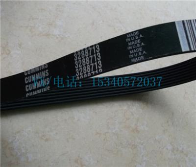 China Apply to Cummins Port unloading equipment C3911620 BELT,POLY V factory direct sale for sale