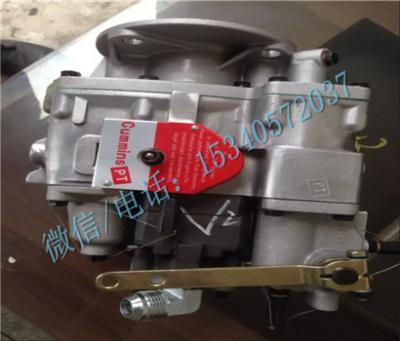 China Apply to Cummins Marine maintenance 4951415 FUEL PUMP matching plant for sale