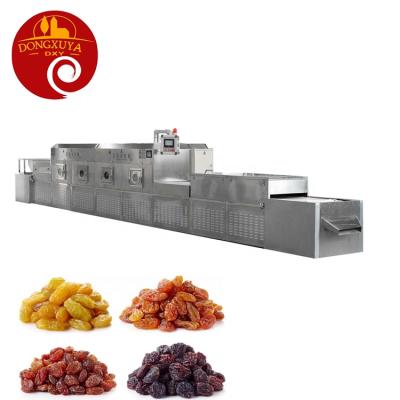 Cina Medicine Processing Microwave Wind Turbine 10KW System Drier Grape Dehyderation in vendita