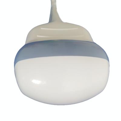 Cina Sonde a ultrasuoni diagnostiche 4D convesso curvo GE RAB2-6-RS Voluson P8 Versana Premier in vendita
