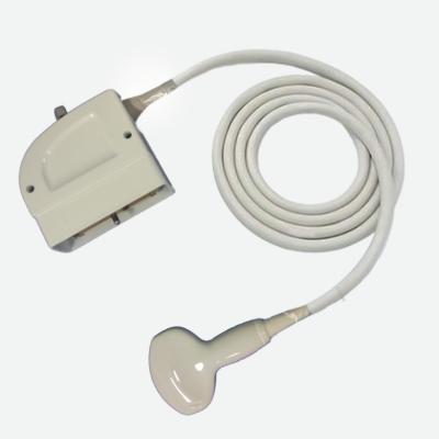 Cina Scanner di sonda ad ultrasuoni convesso curvo C6-2 07472694 per Siemens G60/X300/X500/X600 in vendita