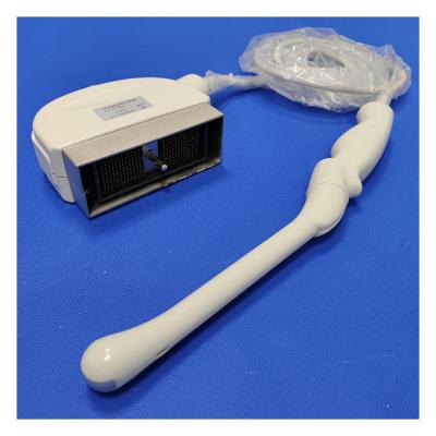 Cina Affordable GE MTZ Logiq 200 sonda transvaginale per l'esaminazione. in vendita
