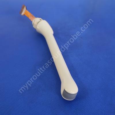 China GE E8Cs Ultrasound Crystal Transvaginal Ultrasound Transducer Scanhead Acoustic Moudle for sale