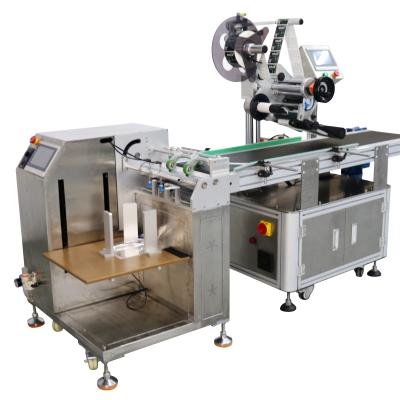 Cina SS 304/SS 316 Voltage 220V Suction Type Pagination and Labeling Machine per imballaggi in PE in vendita