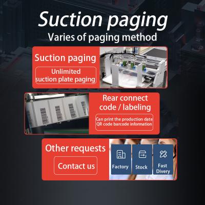 Cina 150 KG Full Automatic Vacuum Conveyor Suction Labeller Adsorption Type Paging and Labeling Machine per sacchetto morbido in vendita