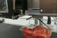 China Automatic Weighing Barcode Labeling Machine 220V 550W for Food Packaging for sale
