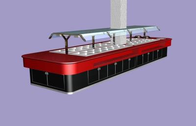 China Stainless Steel 380V Commercial Buffet Equipment 400L , Customized Buffet Counter for sale