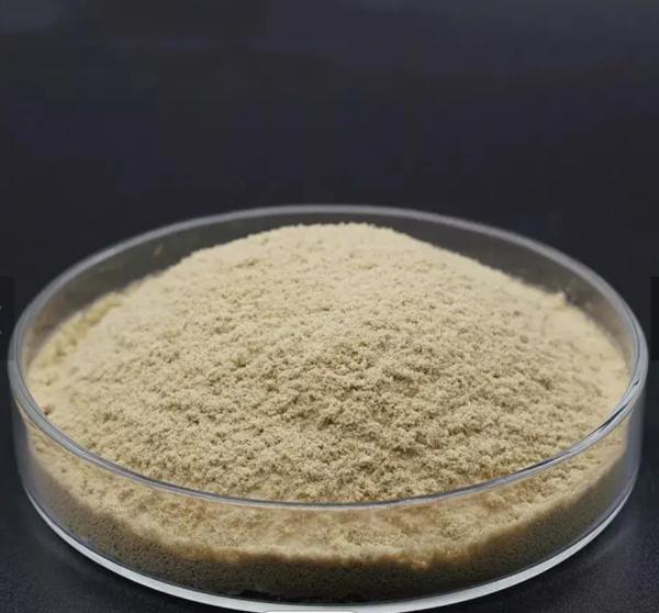 Quality Concentrated Protein Yeast Powder Prickly Pear Flavor Extracted From Yeast for sale