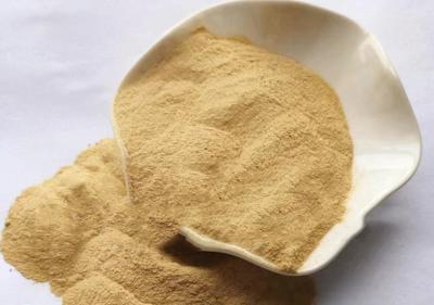Quality High Protein Mycoprotein Powder ISO9001 for sale