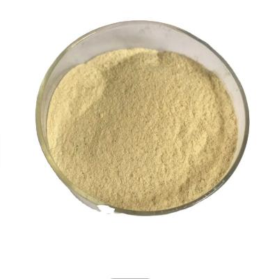 Quality Powder Form Yeast Powder with 2 Years Shelf Life from Origin for sale