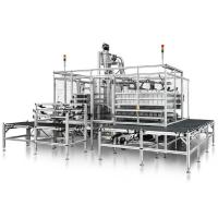 China Advanced Automated Material Handling System with Sorting System 230 Slots and Conveying System 1 Set for sale