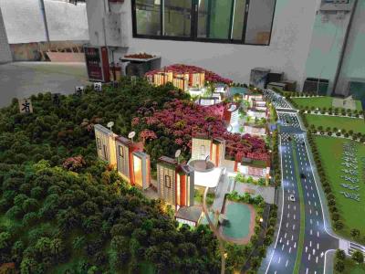 China 1:100 Architecture Model University Campus Model Highly Detailed for sale