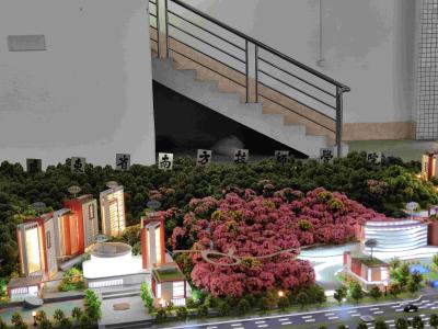China 1:450 College Architecture Model Educational Campus Scale Model for sale