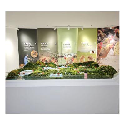 China Miniature Model of National Qingyuan Chicken Germplasm Conservation Base, Ecological Livestock and Poultry Germplasm Resource Bank Planning Sandbox for sale