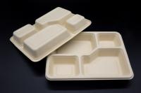 China Sugarcane Pulp Wheat Straw Dinnerware Set Food Biodegradable Takeaway Packaging for sale