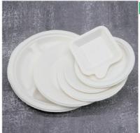 China Sugarcane Pulp Wheat Straw Dinnerware Set Food Biodegradable Takeaway Packaging for sale