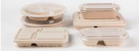 China Sugarcane Pulp Wheat Straw Dinnerware Set Food Biodegradable Takeaway Packaging for sale