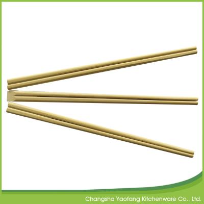 Cina Bastoncini di bambù eliminabili di Tensoge 20cm Eco amichevole per il ristorante in vendita
