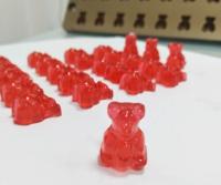 China USA Small Automatic Multifunctional Pectin Probiotics Gummy Bear Candy Making Machine for sale