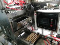 China USA Small Automatic Multifunctional Pectin Probiotics Gummy Bear Candy Making Machine for sale