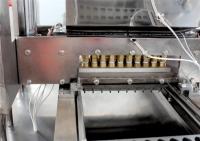 China Revolutionize Candy Manufacturing with Multifunctional Melon Blueberry Gummy Machine for sale