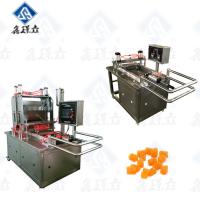 China CE Certified Bear Candy Making Machine for Advanced Candy Depositing Production Line for sale