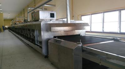China Shanghai Gas Bakery Rotisserie Oven Advanced Technology for Snack Food Tunnel Oven for sale