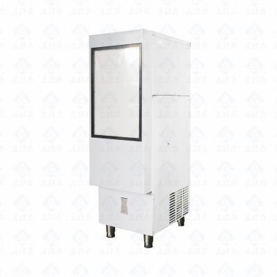China Professional Ice Maker Machine for Hotel and Restaurant Cube Cubes for sale