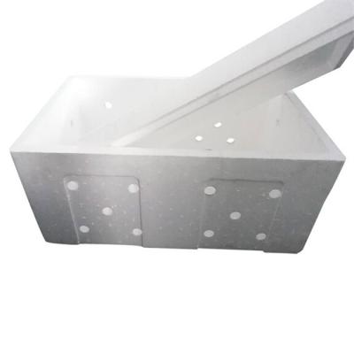 Cina EPS Foam Mold Custom Precise Consistent Product Manufacturing (Fabbricazione di prodotti costanti e precisi) in vendita