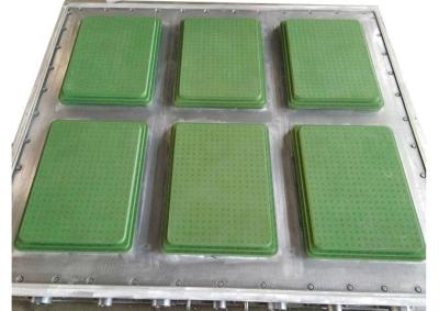 Cina Muffa della scatola di pesce ISO9001 ENV per l'imballaggio di verdure della frutta fresca in vendita