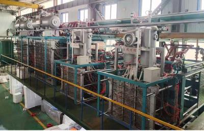 Cina Macchina di stampaggio a vuoto automatizzata EPS con controllo PLC per scatole di pesce in vendita