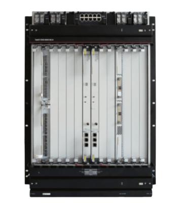 China 03035EHB TNG3N402 2x100G Line Service Processing Board OSN9800 M24 HW Brand New for sale
