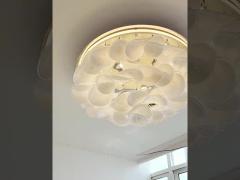 Nordic Simple Light Franse woonkamer slaapkamer plafond licht modern crème creatieve persoonlijkheid lotus blad ontwerper kamer licht