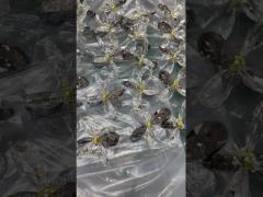 Dipartimento Vendite Luci di Ingegneria Alberghiera Personalizzate Non Standard Combinazione Sala Banchetti Geometria Triangolare LED Plafoniera