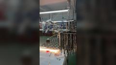 Crystal Foyer Chandelier Titanium Gold Hotel Villa Entrance Luxury Pendant Light Fixture Showcase