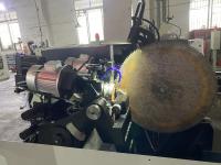 China LDX-028A Full Servo CNC Circular Saw Blade Double Grinding Head Side Sharpening Machine for sale