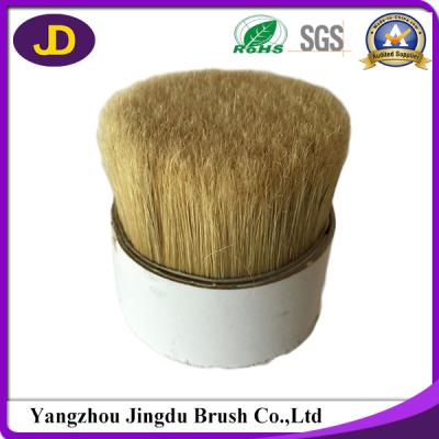 China Natural Chungking pig hair bristles with good quality for paint brush for sale