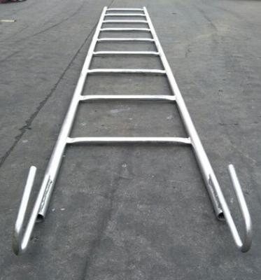 China hot sale hot dipped galvanized steel scaffolding Monkey Ladder used in construction for sale
