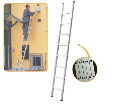 China Low minimum： competitive constant steel Aluminum Single Straight Scaffolding Ladder for sale in construction for sale