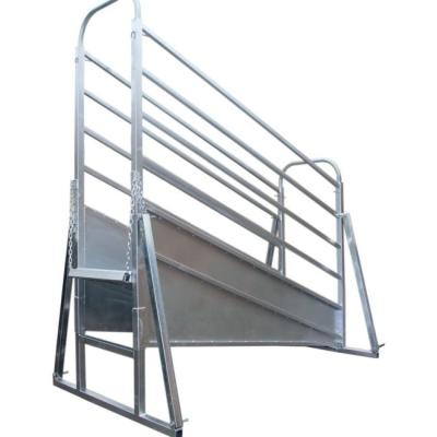 China Dust Proof Height 3200mm Adjustable Cattle Loading Ramp for sale