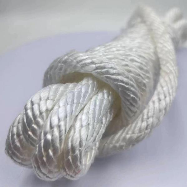 Quality High Strength 100% Polyester Ropes 10mm Goods Package Braided Rope for Various for sale