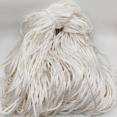 Cina Esperienza all'aria aperta con 4mm di diametro resistente all'usura poliestere fibra di corda in vendita