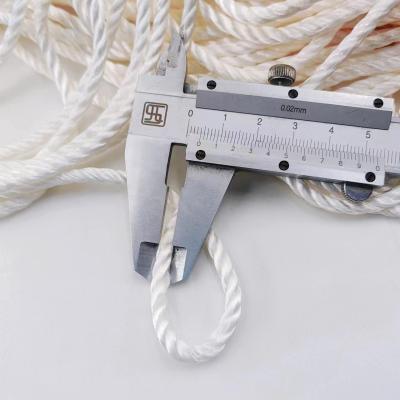 Cina Esperienza all'aria aperta con 4mm di diametro resistente all'usura poliestere fibra di corda in vendita