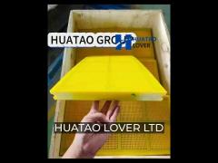 High Wear Resistance Polyurethane Modular Screen WS85 300x305mm / 300x610mm / 300x800mm MDI Material