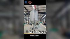 paddy dryer