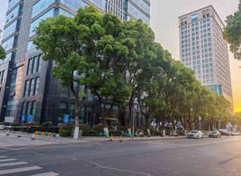 China Factory - Wuxi ADBLUEPARTS Auto Parts Co., LTD