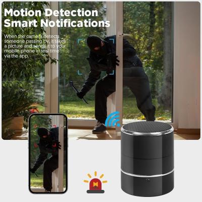 China Office Mini Spy Camera 1080P Wifi Bluetooth Speaker Hidden Camera for sale