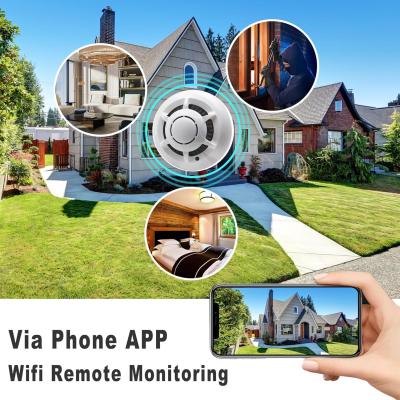 China Cámaras de seguridad para el hogar en miniatura de color blanco Detector de humo Wifi Cámara espía con detección de movimiento en venta